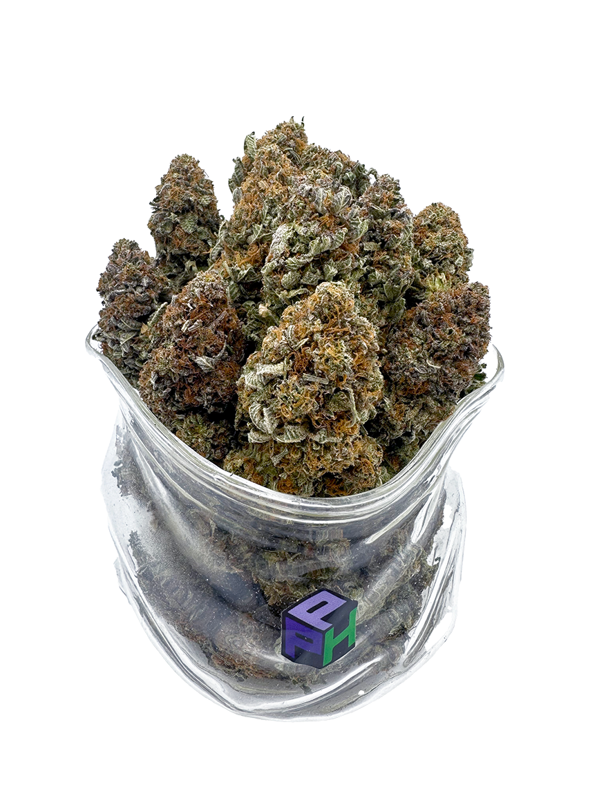 Purple Bubba Kush Plant